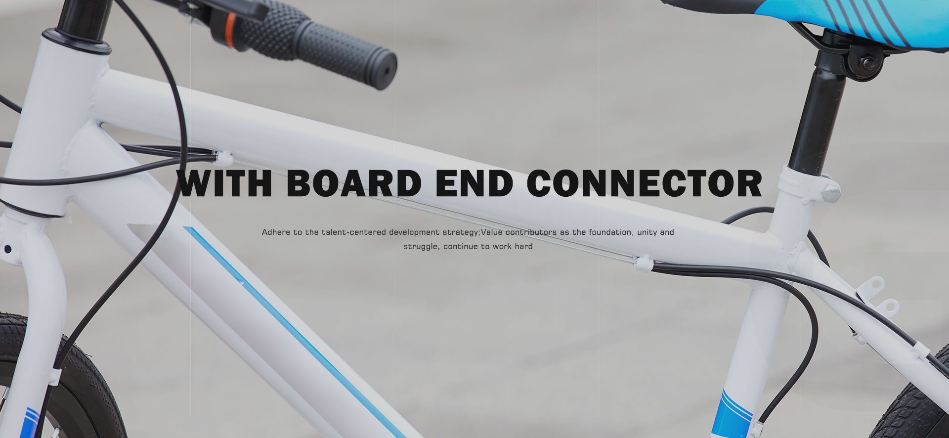 Electric Bike Display Supplier